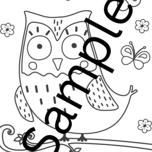 Owl Cute Colouring (21 Pages). Engaging, Adorable, Enjoyable for Kids ...