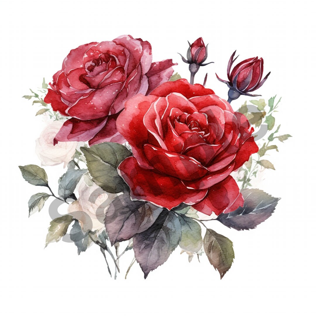 Watercolour Floral Red Roses Clipart Red Roses Floral - Etsy