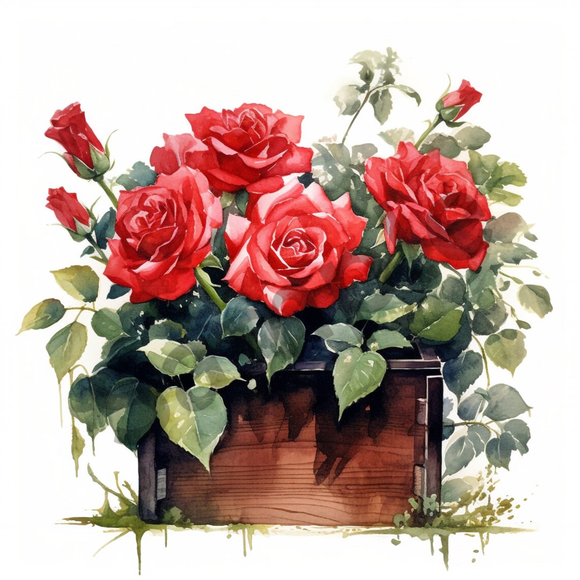 Watercolour Floral Red Roses Clipart Red Roses Floral - Etsy