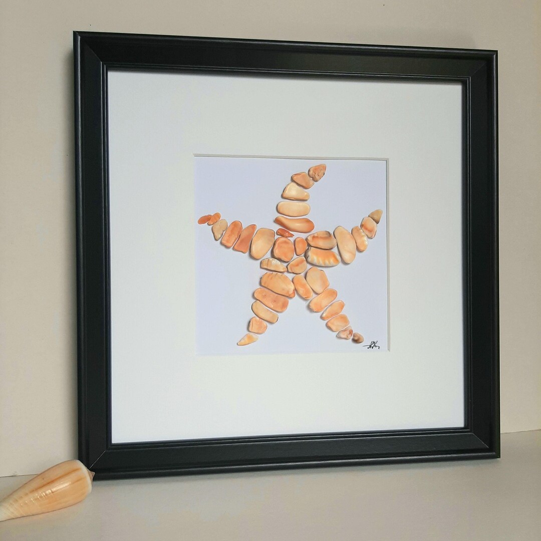 Sea Shell Art, Sea Shell Starfish, Gorgeous Family Gift, Friends ...