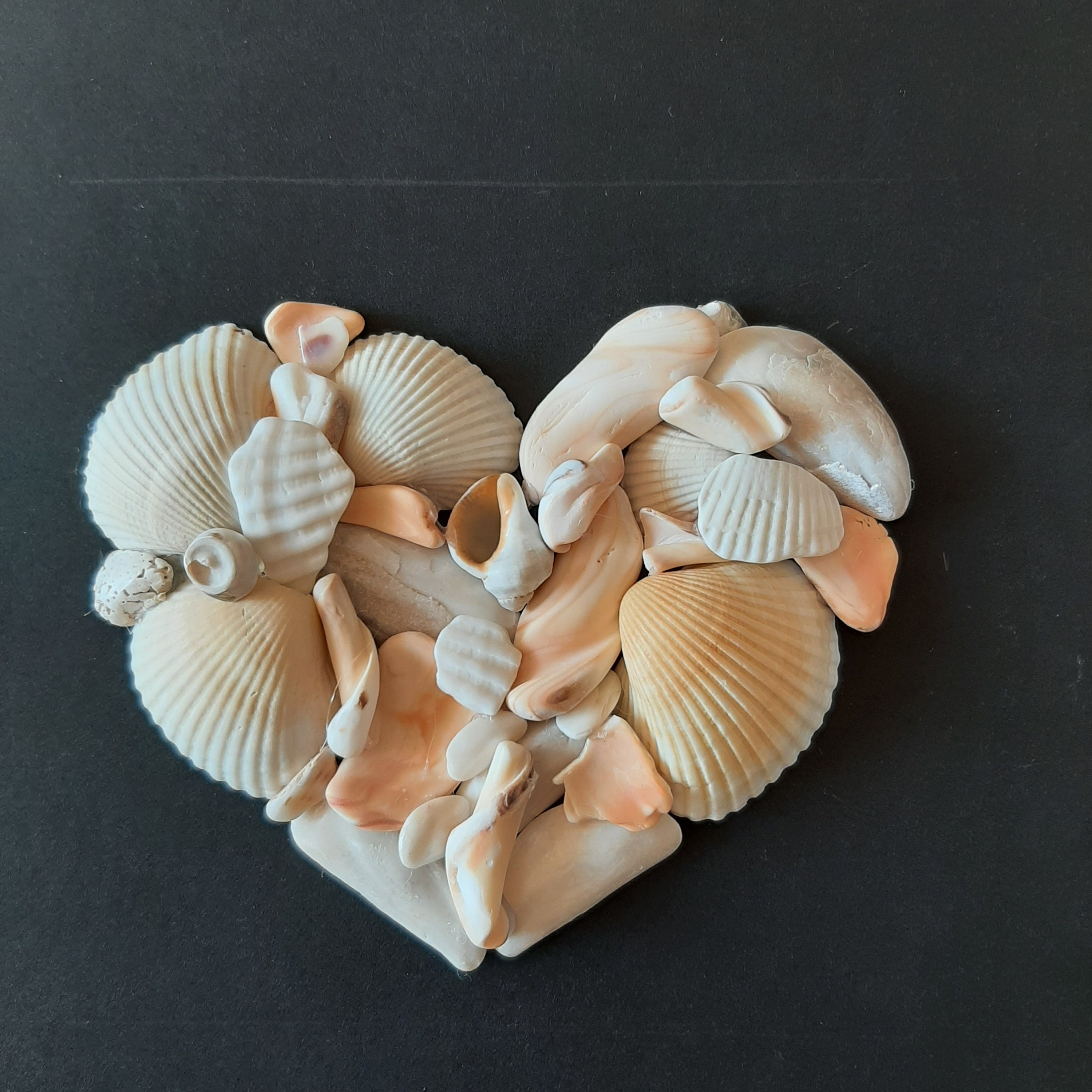 Sea Shell Art Sea Shell Heart Pebble Art Sea Glass Heart - Etsy