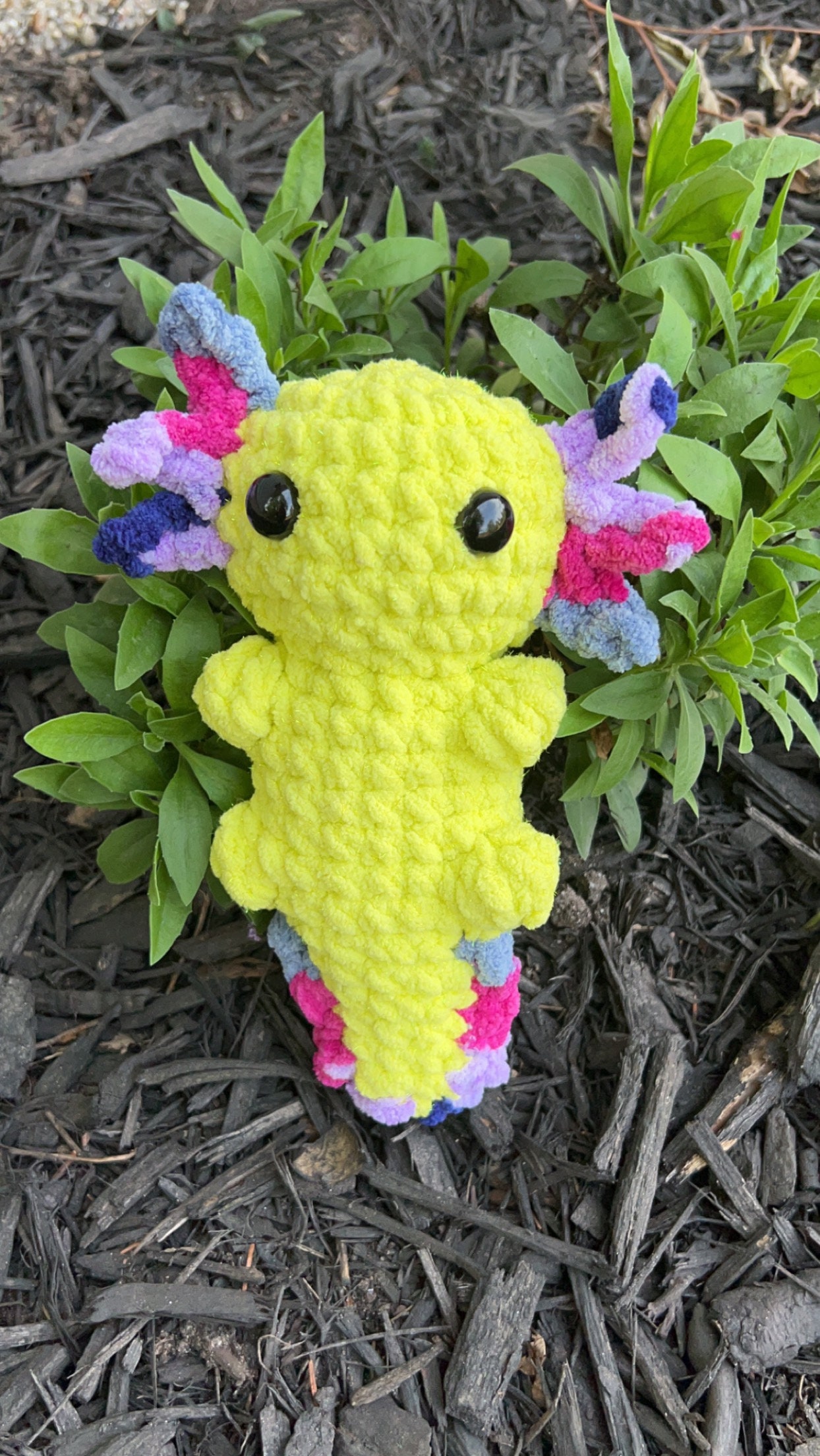 Axolotl Stuffed Animal - Etsy