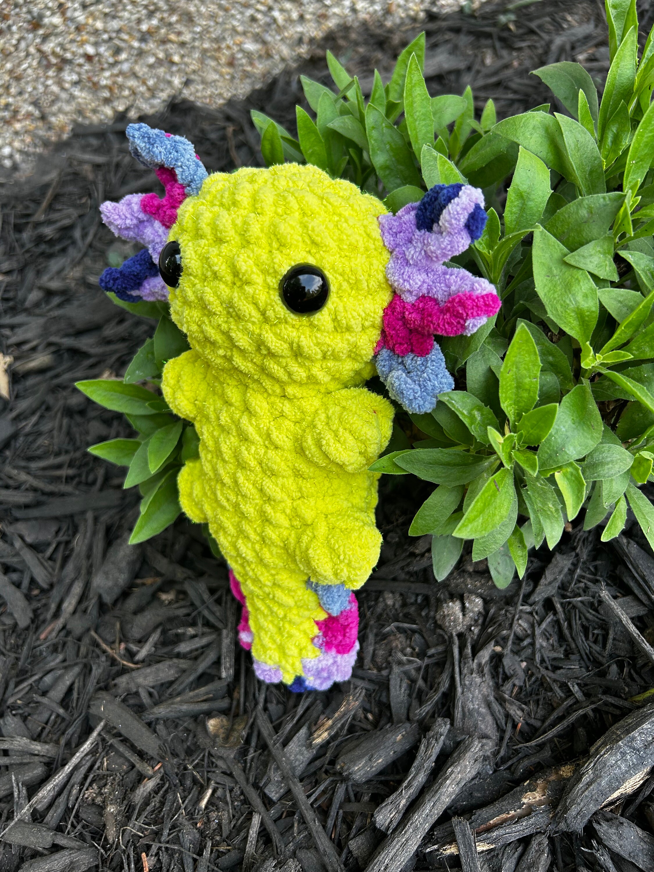 Axolotl Stuffed Animal - Etsy