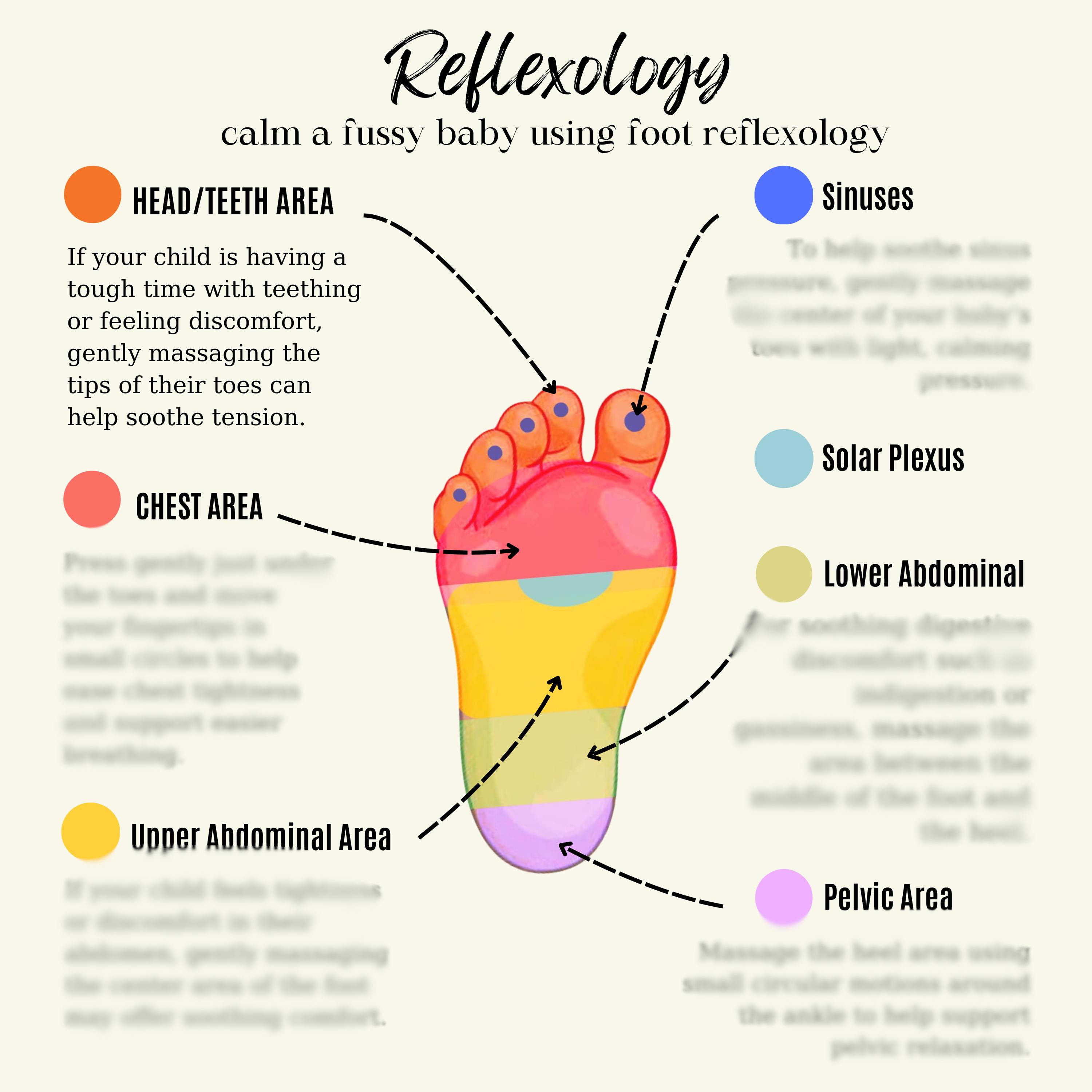 Baby Foot Reflexology Chart & Massage Guide | Colic Relief, Sleep Aid ...