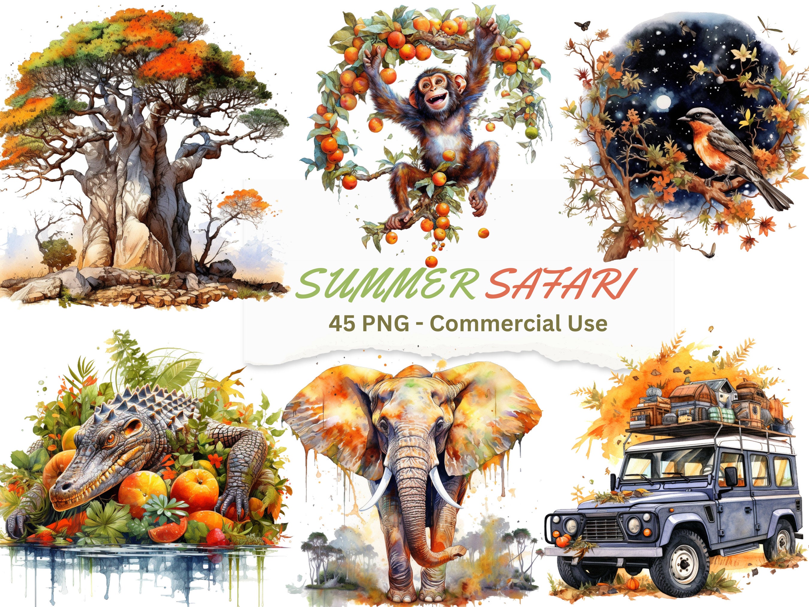 Safari Wild Animals PNG Clipart Set of 45 Graphics, Safari Jeep ...