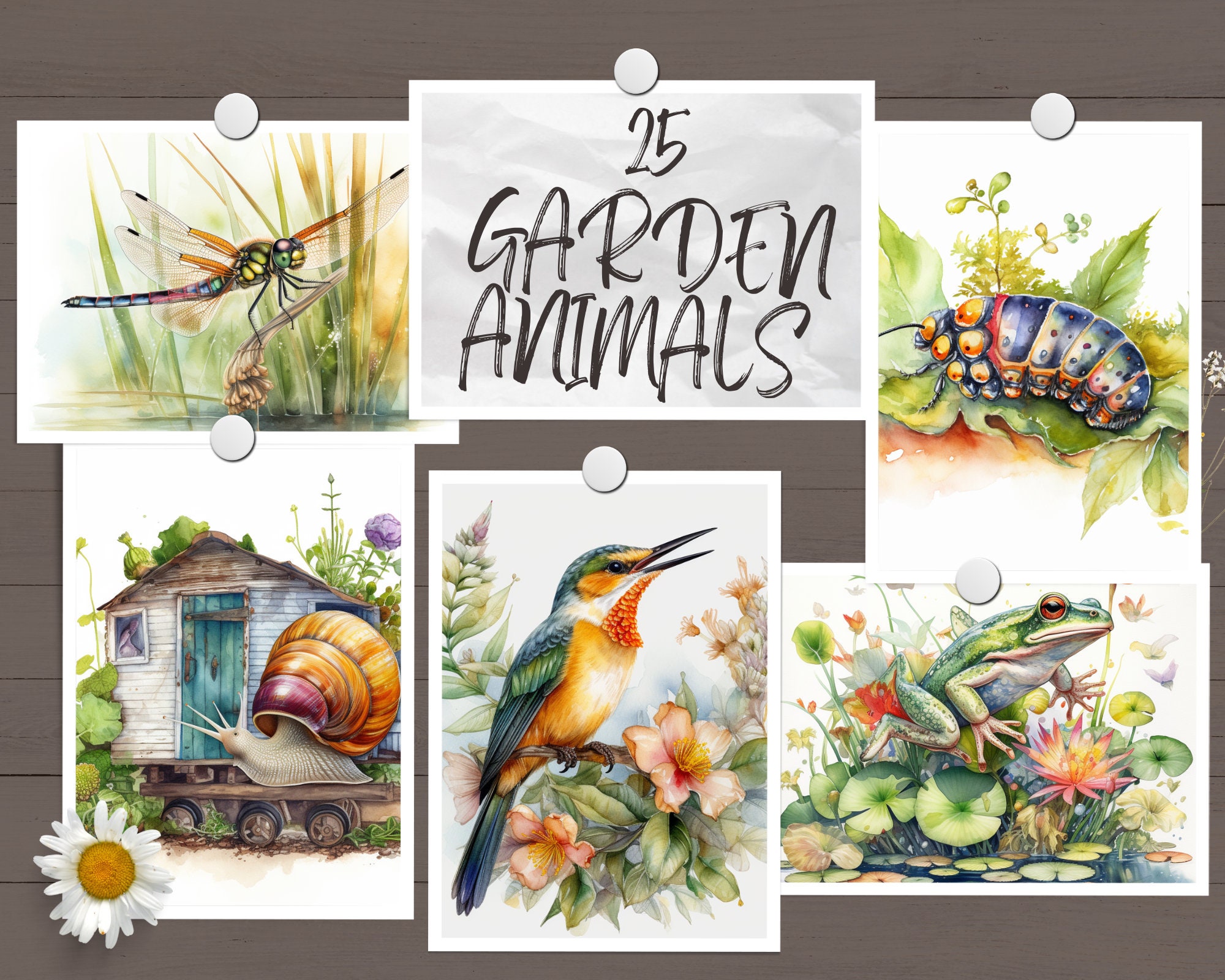 Garden Animals Clipart Set of 25, Watercolor Insect Animals Transparent ...