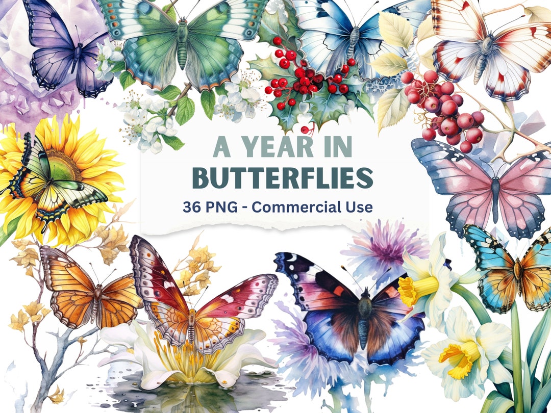 Birth Month Butterflies PNG, Cute Butterfly Clipart Bundle of 36 ...