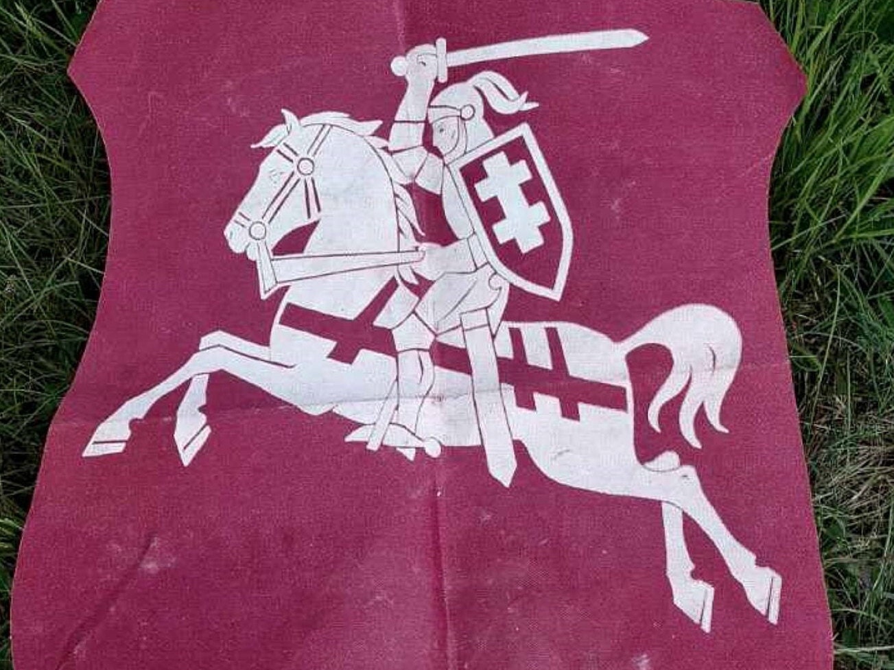 Vytis Heraldry Coat of Arms of Lithuania Symbol of the - Etsy