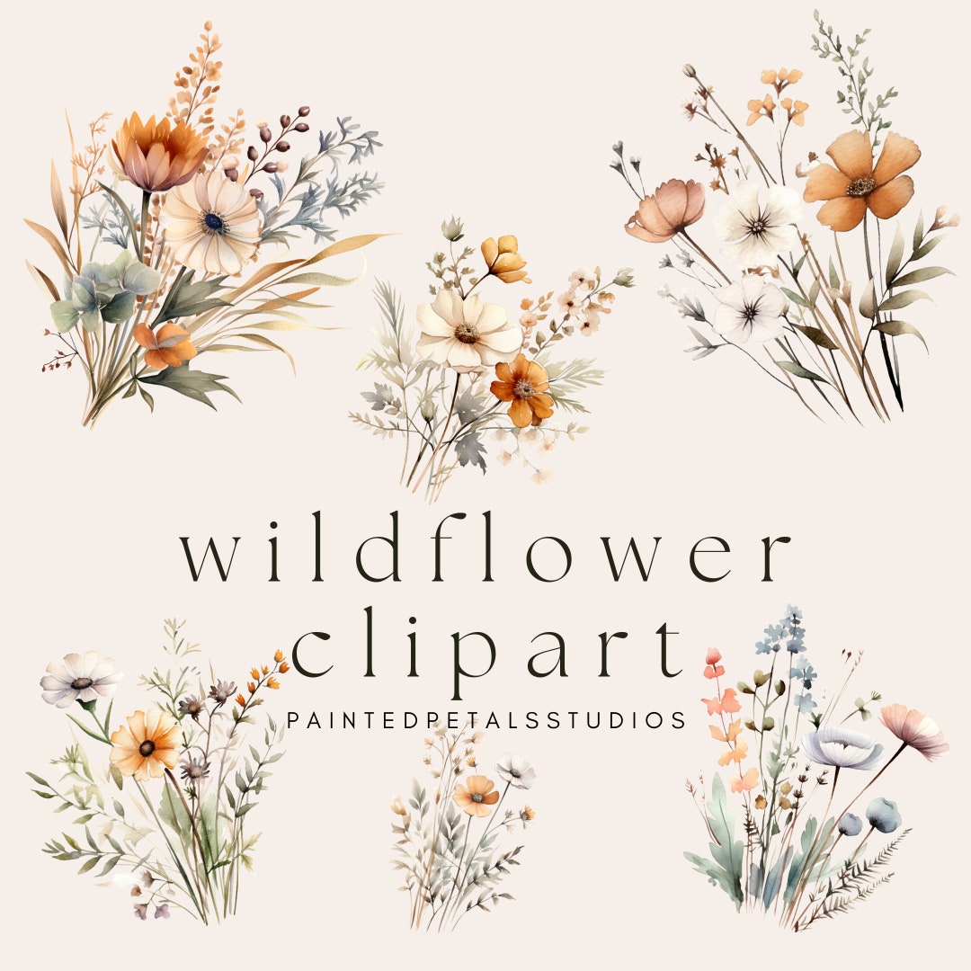 Watercolor Wildflower Clipart, Fall Clipart, Fall Wildflowers ...