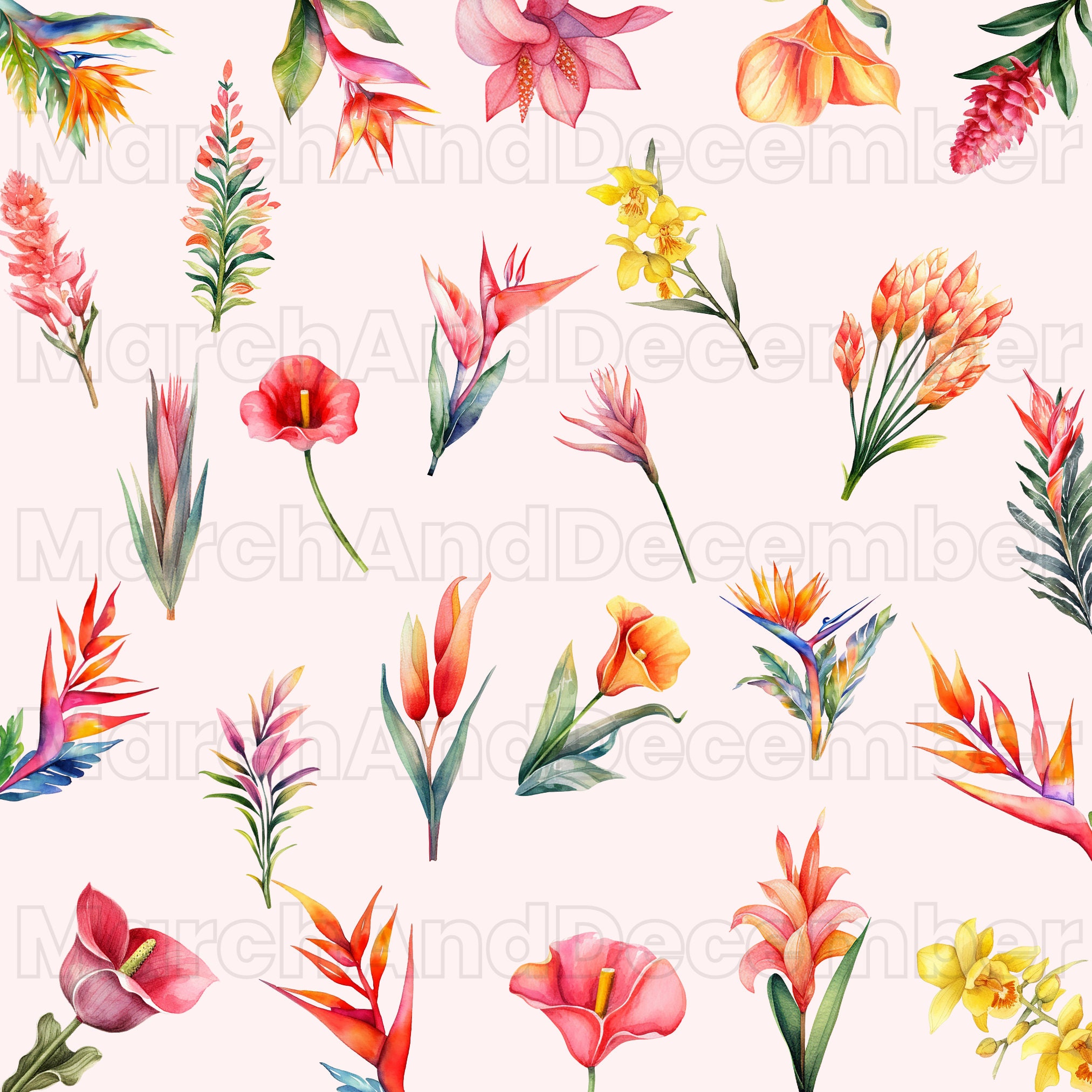 Watercolor Tropical Flowers Clipart, Digital Download - Etsy
