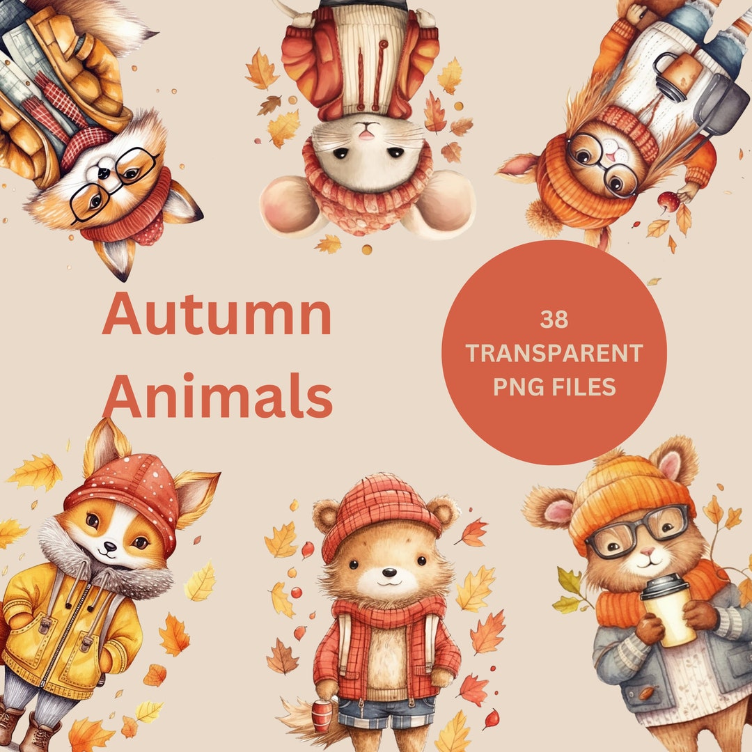 Autumn Animals Clipart Set, Woodland Animals Png, Digital - Etsy