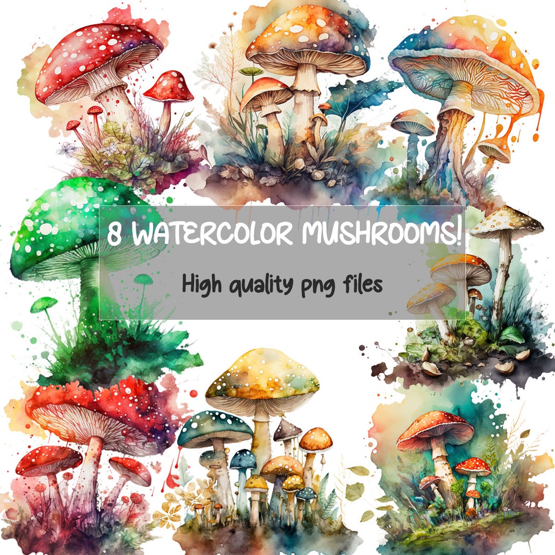 Watercolor Mushrooms Clipart - Forest Nature Magic Mushroom Clip Art ...