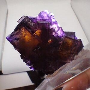 Fantastic Fluorite Rose Claire Mine Southern Illinois Cave in Rock ...