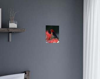 Premium Matte Posters - Etsy