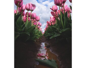 Premium Matte Posters - Etsy