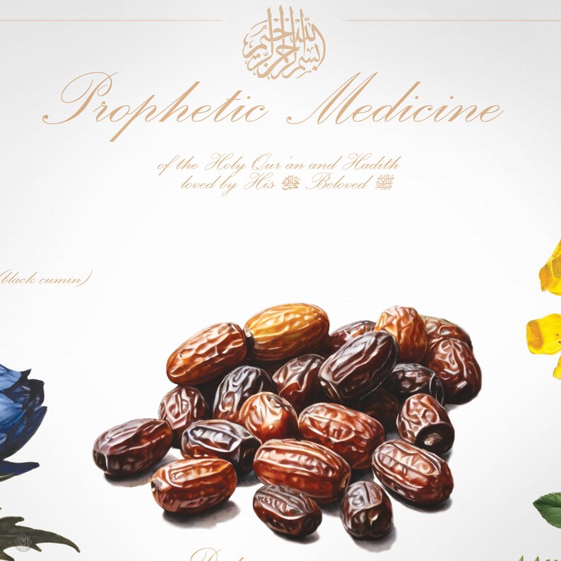 7 Foods of Quran & Hadith | Watercolor | Prophetic Medicine | Islamic ...