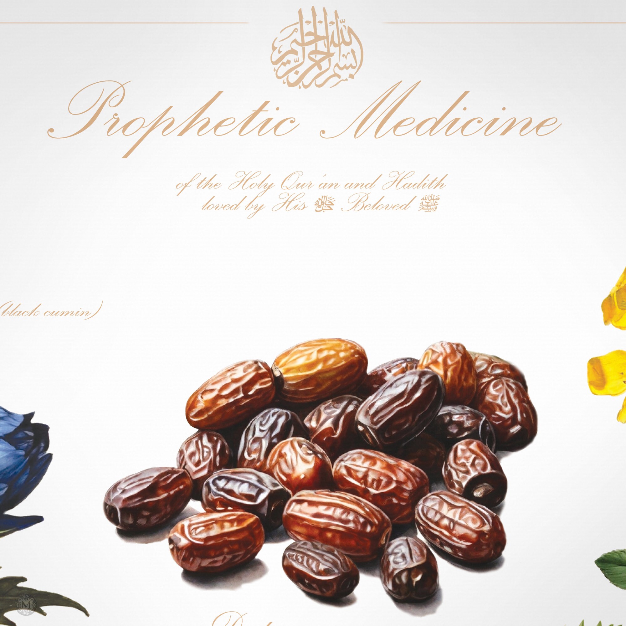 7 Foods of Quran & Hadith | Watercolor | Prophetic Medicine | Islamic ...