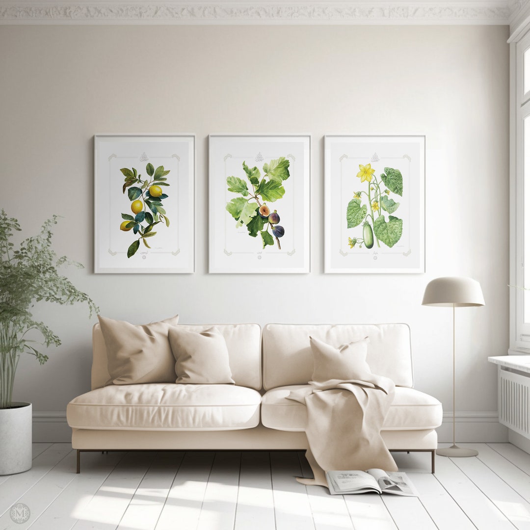 9 Foods of Quran & Hadith Bundle Watercolor Islamic Wall Art Printable ...