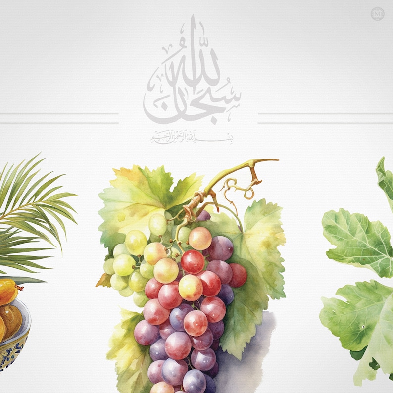 9 Foods of Quran & Hadith Poster Watercolor Islamic Home Decor Islamic ...