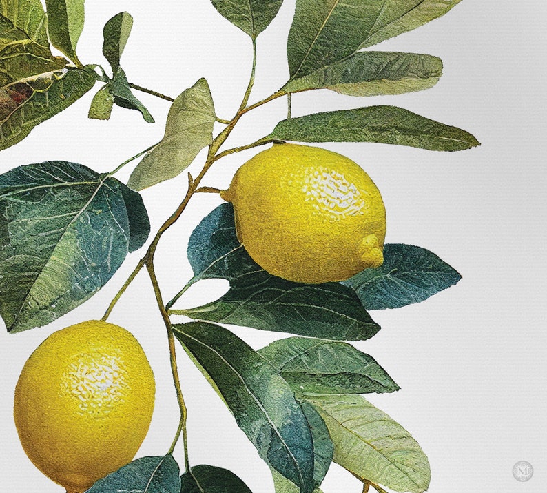 9 Foods of Quran & Hadith Poster Watercolor Islamic Home Decor Islamic ...