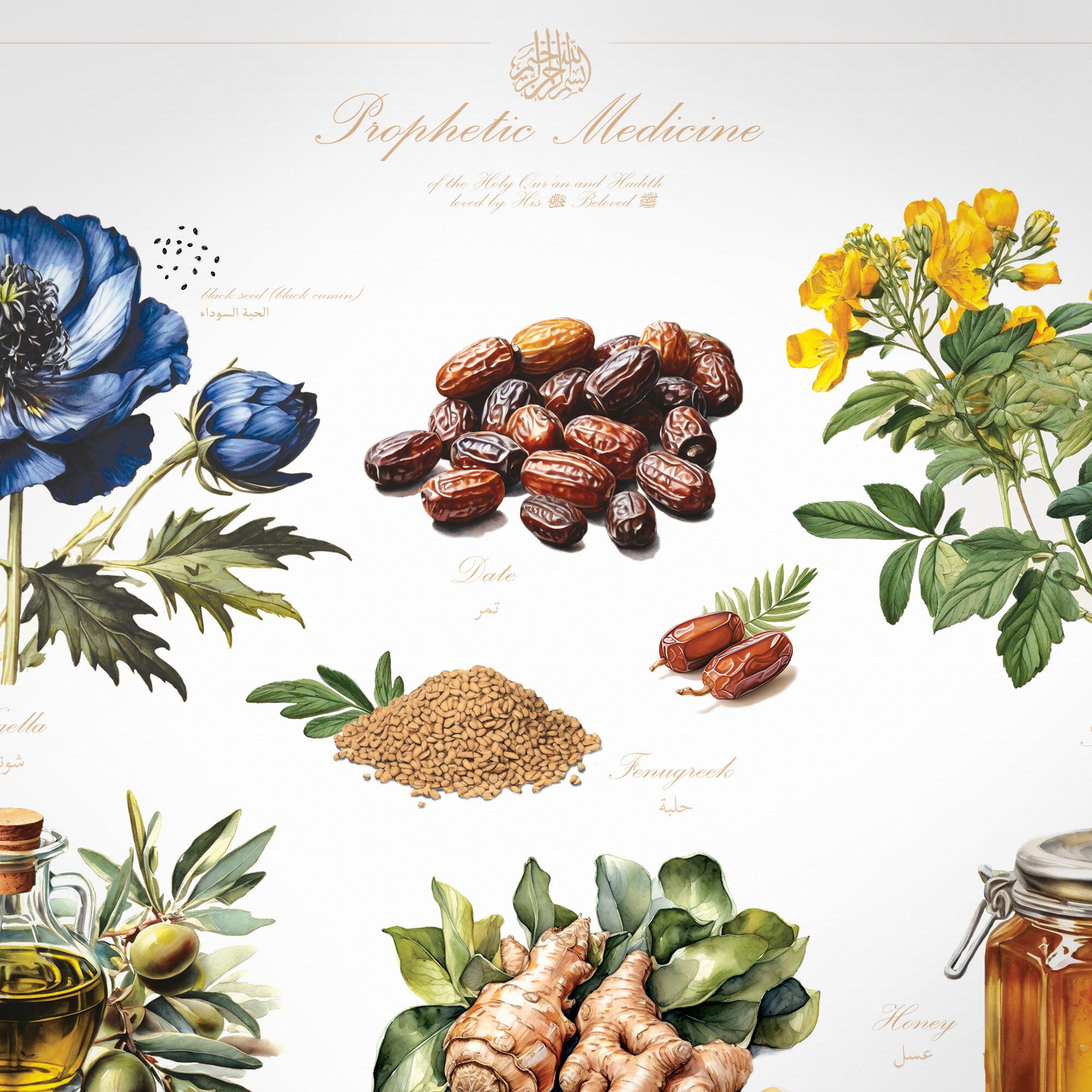 7 Foods of Quran & Hadith | Watercolor | Prophetic Medicine | Islamic ...