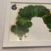 The Very Hungry Caterpillar Frame - Etsy
