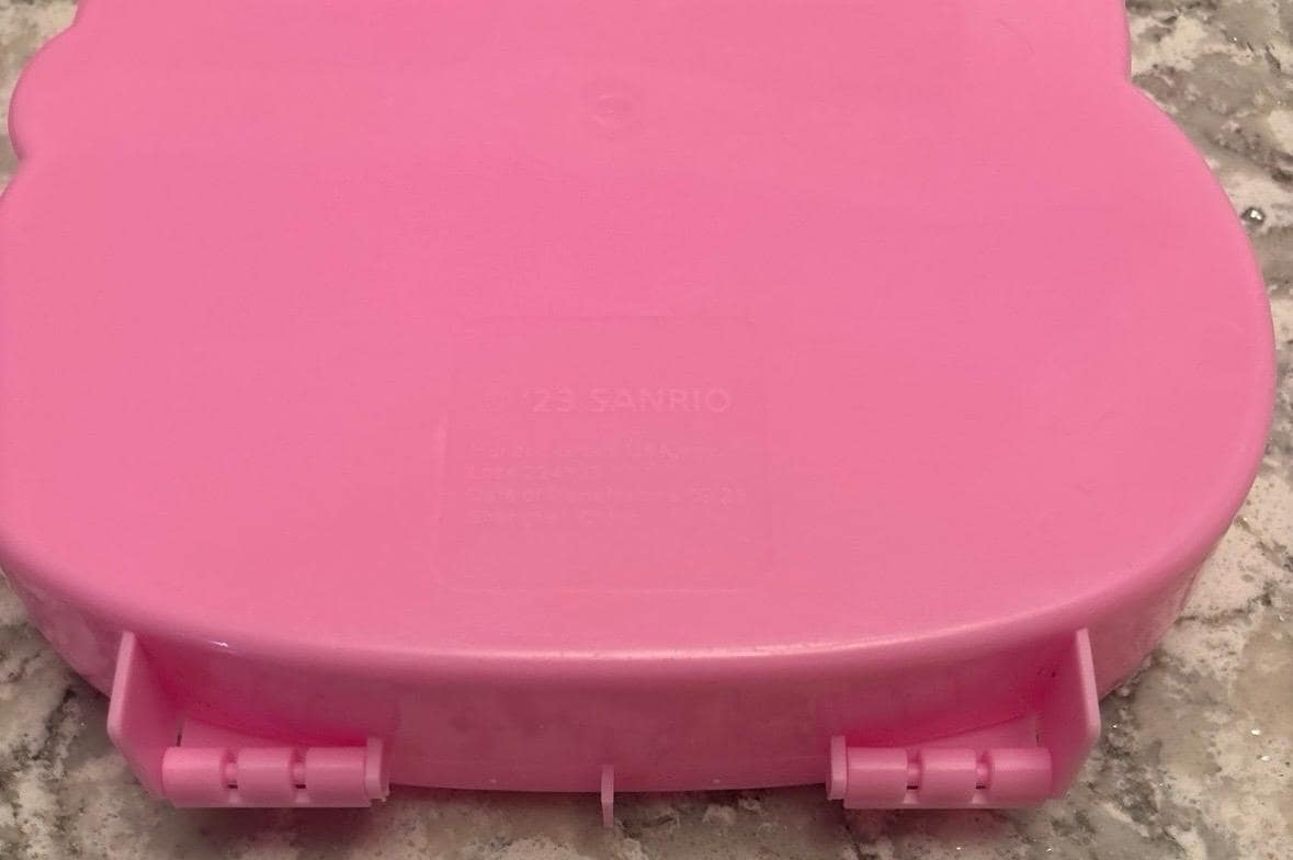 Hello Kitty Plastic Carrying Case - Etsy