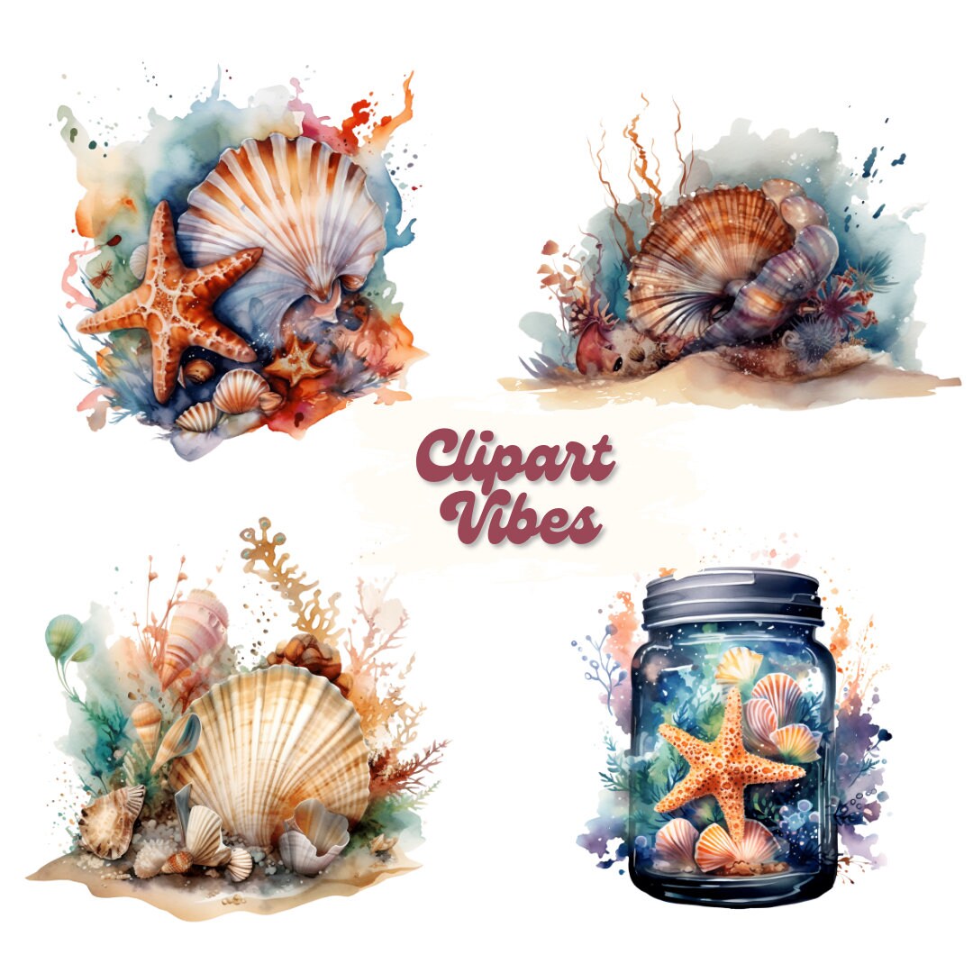 Watercolor Seashell Clipart Beach Clipart Bundle Ocean Sea Clipart ...