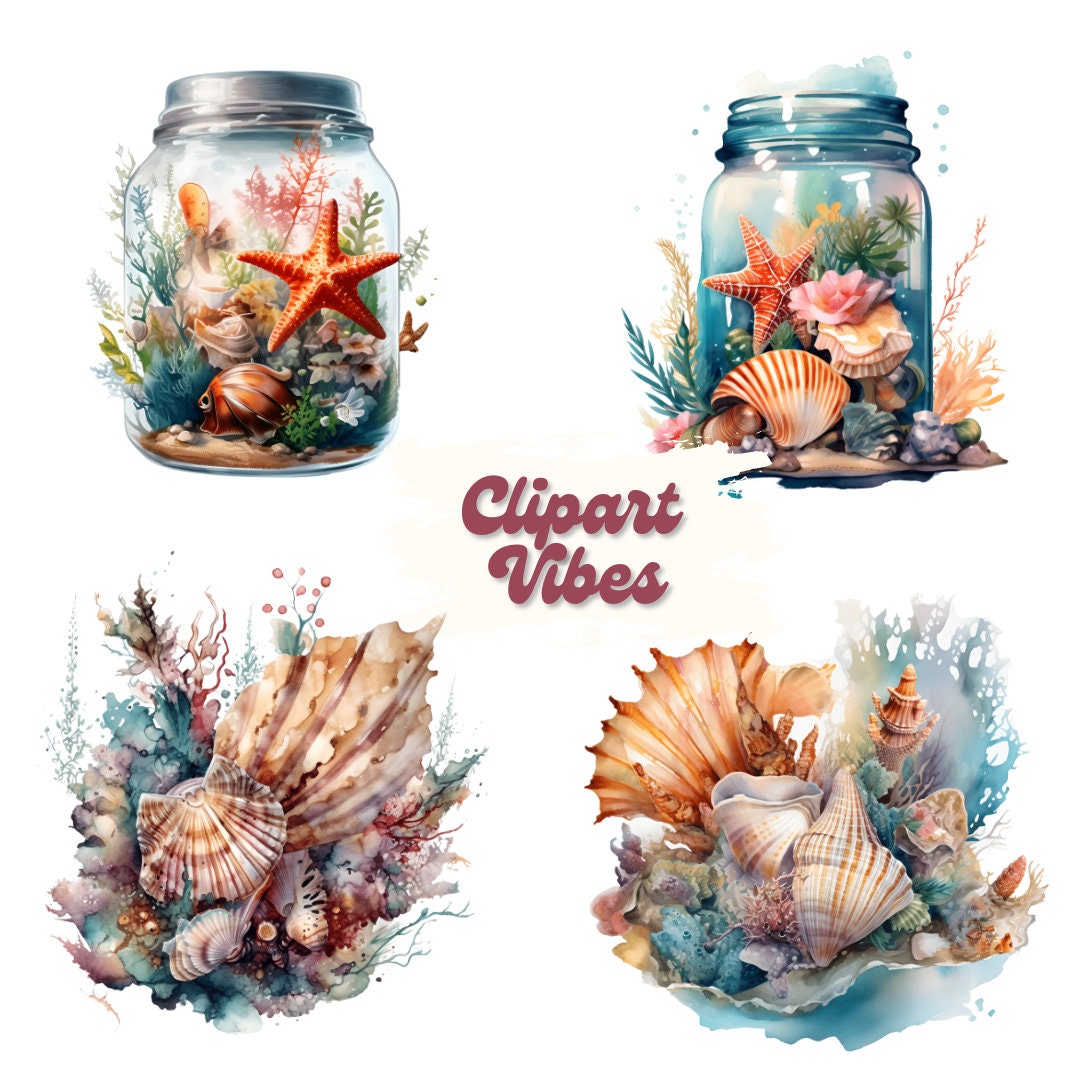 Watercolor Seashell Clipart Beach Clipart Bundle Ocean Sea Clipart ...