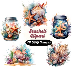 Watercolor Seashell Clipart Beach Clipart Bundle Ocean Sea - Etsy