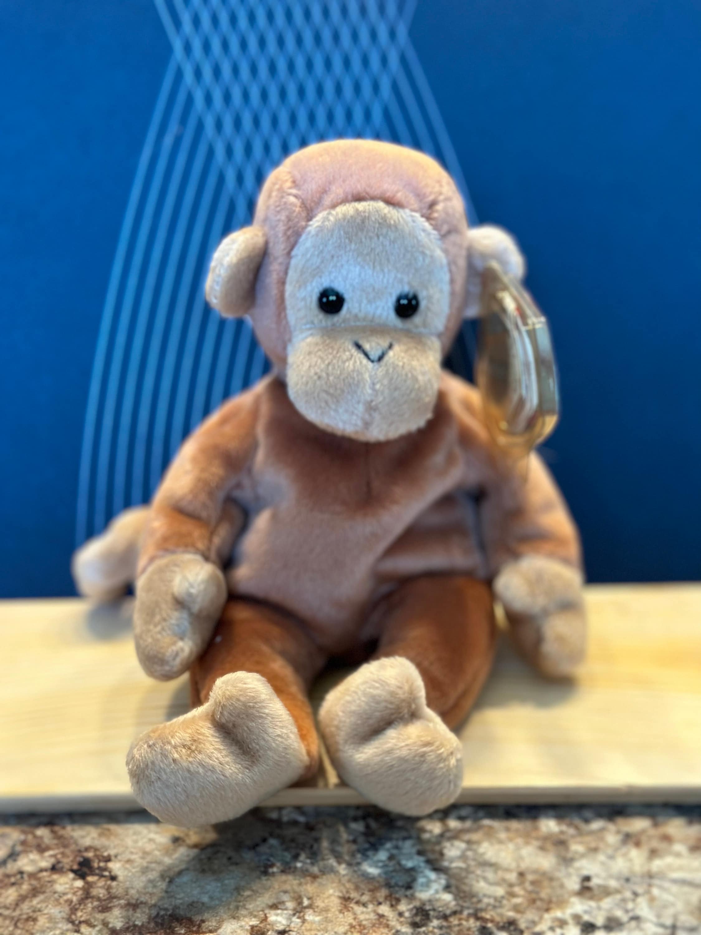 Bongo Beanie Baby RARE - Etsy