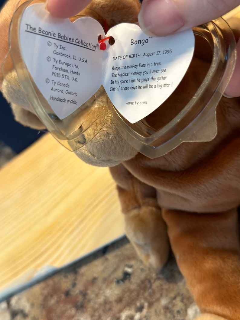 Bongo Beanie Baby RARE - Etsy