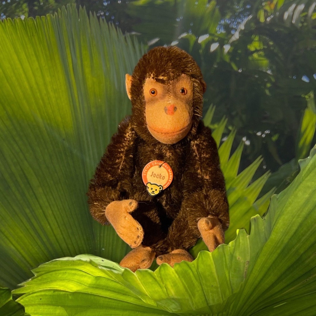 Steiff Fully-jointed jocko Monkey 1950s - Etsy