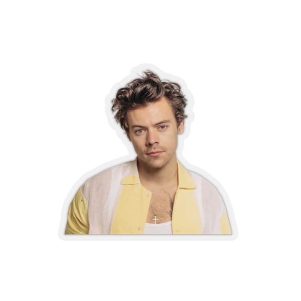 Harry Styles Stickers - Etsy