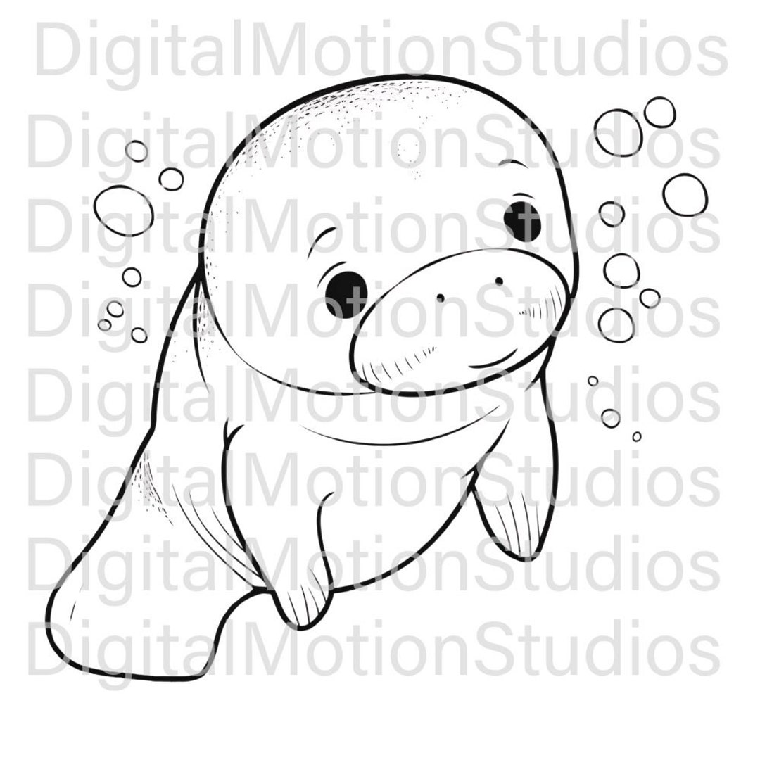 Cute Curious Baby Manatee Clip Art Instant Digital Download JPG PNG PDF ...
