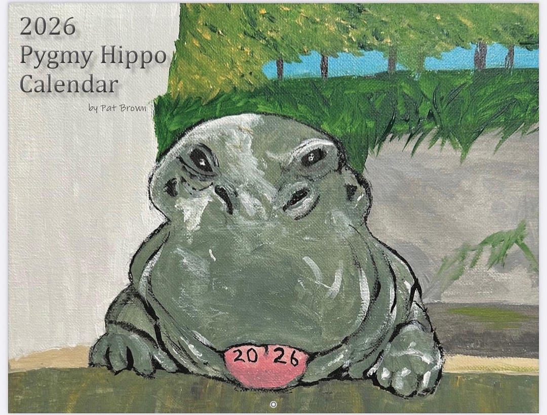 2026 Pygmy Hippo Calendar-prints of Acrylic Paintings - Etsy
