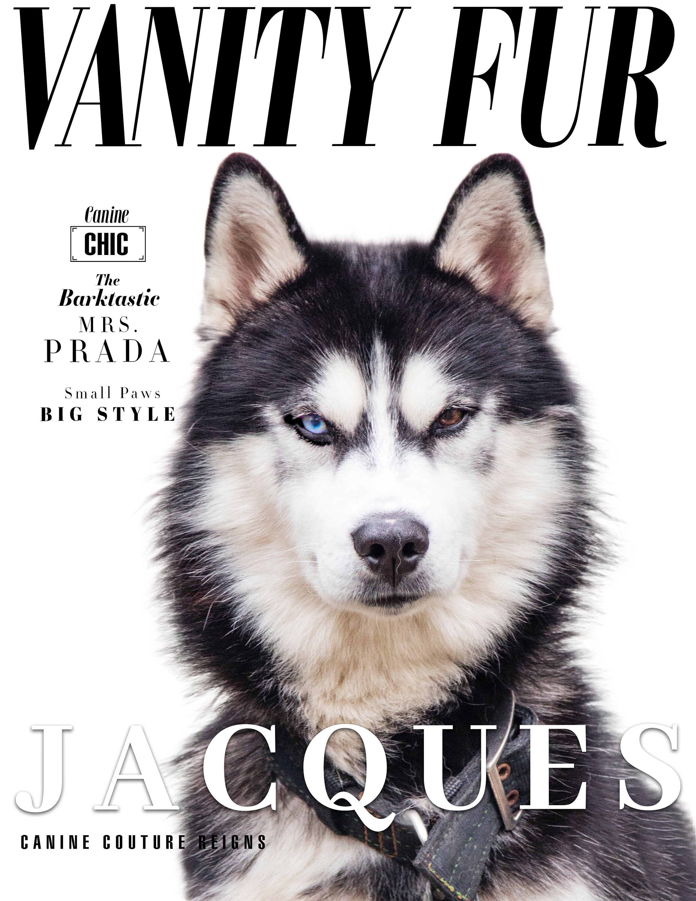 Custom Pet Portrait, Custom Pet Magazine, Dog Portrait, Custom Dog Gift ...