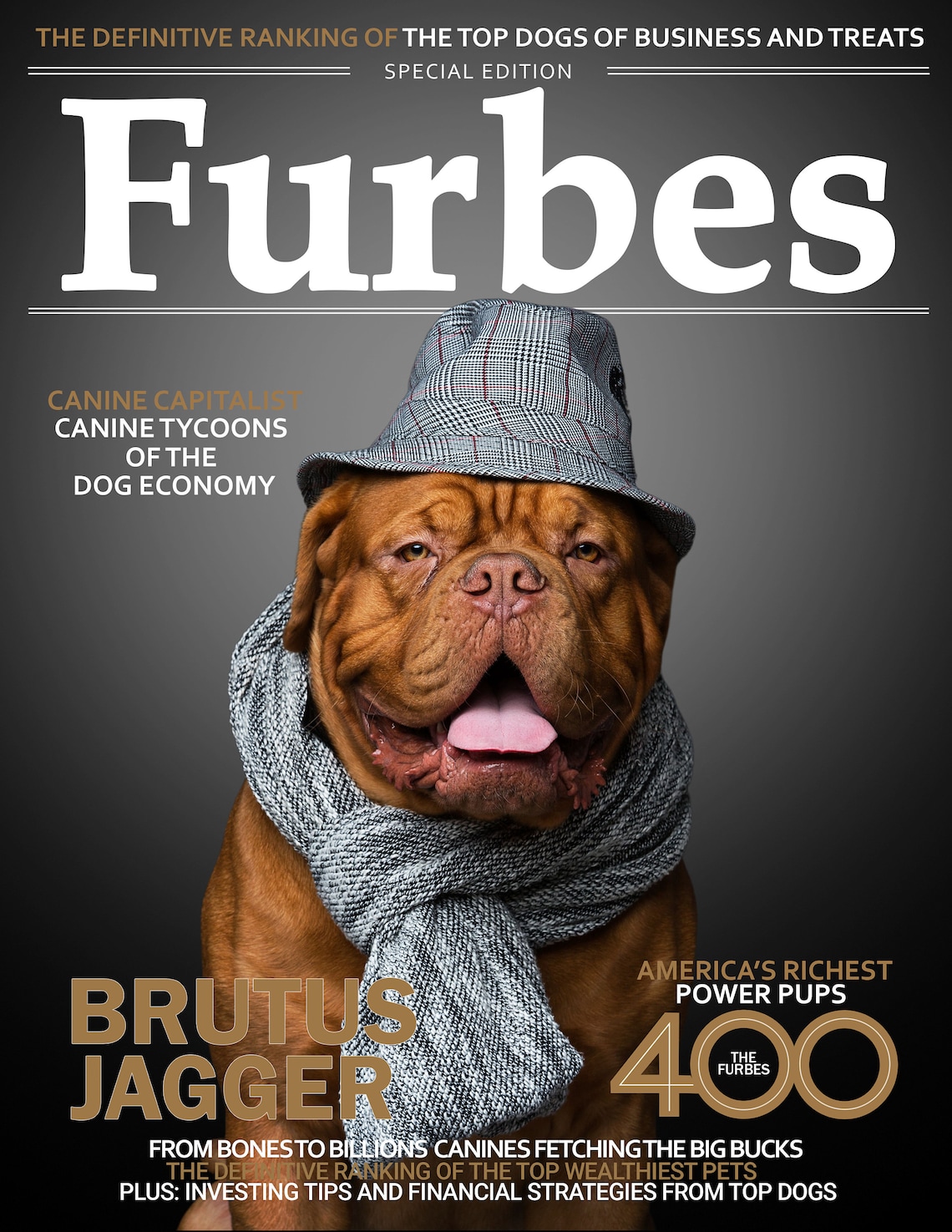 Custom Dog Portrait, Custom Dog Magazine Cover, Custom Pet Art, Custom ...