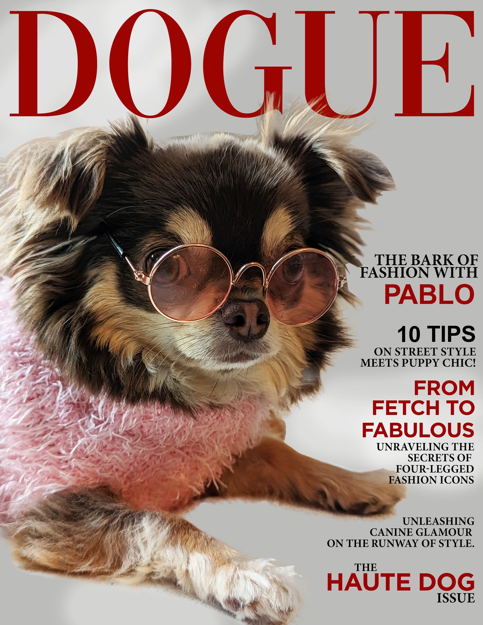 Custom Dog Portrait, Custom Dog Magazine Cover, Custom Pet Art, Custom ...