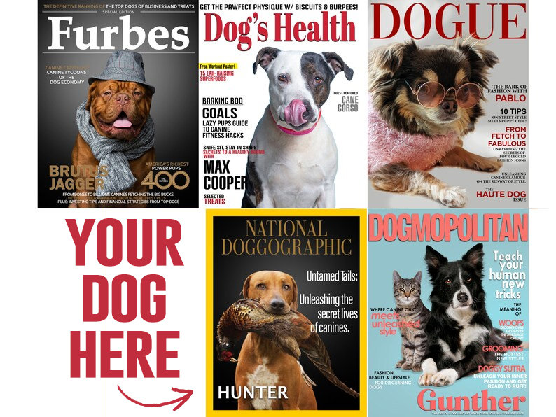 Custom Dog Portrait, Custom Dog Magazine Cover, Custom Pet Art, Custom ...