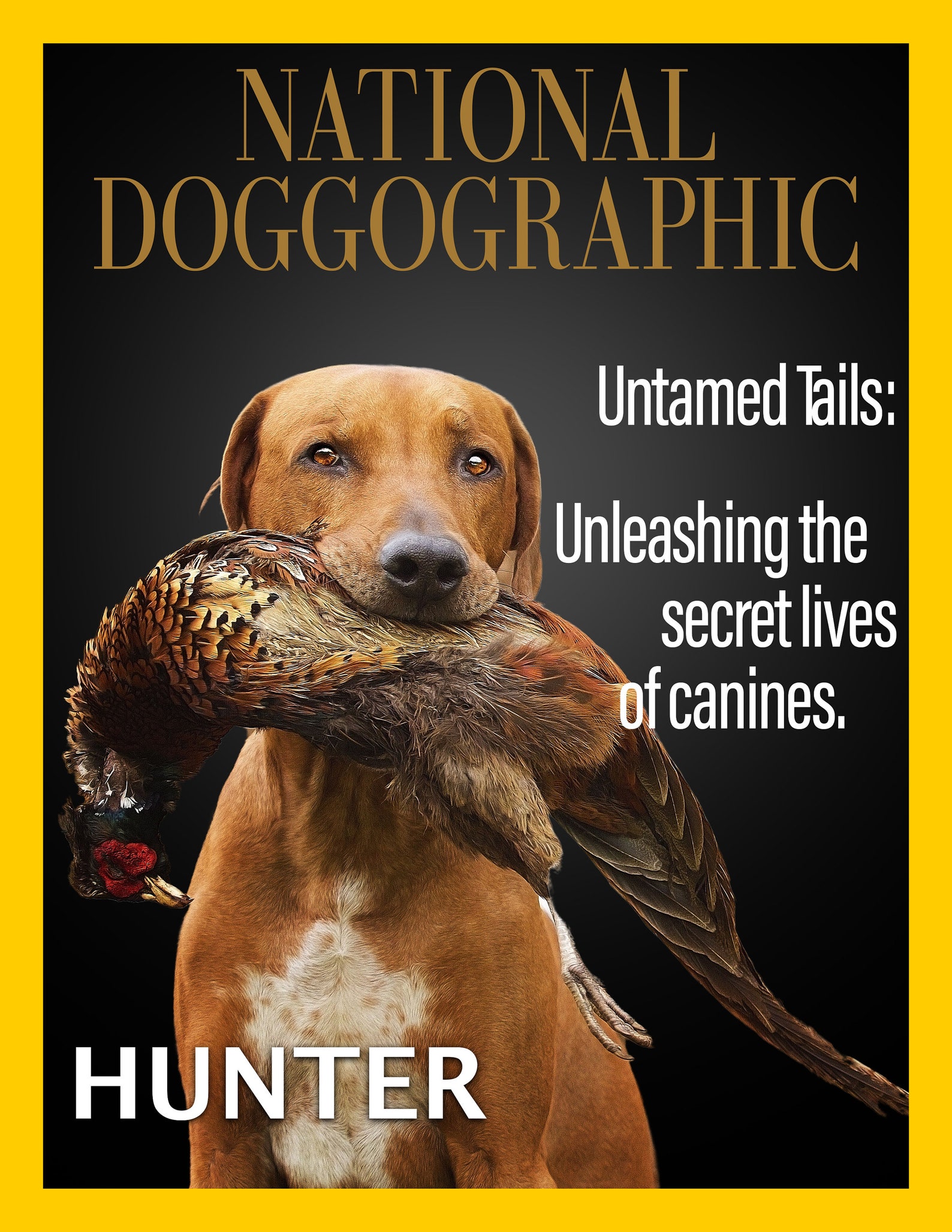 Custom Dog Portrait, Custom Dog Magazine Cover, Custom Pet Art, Custom ...