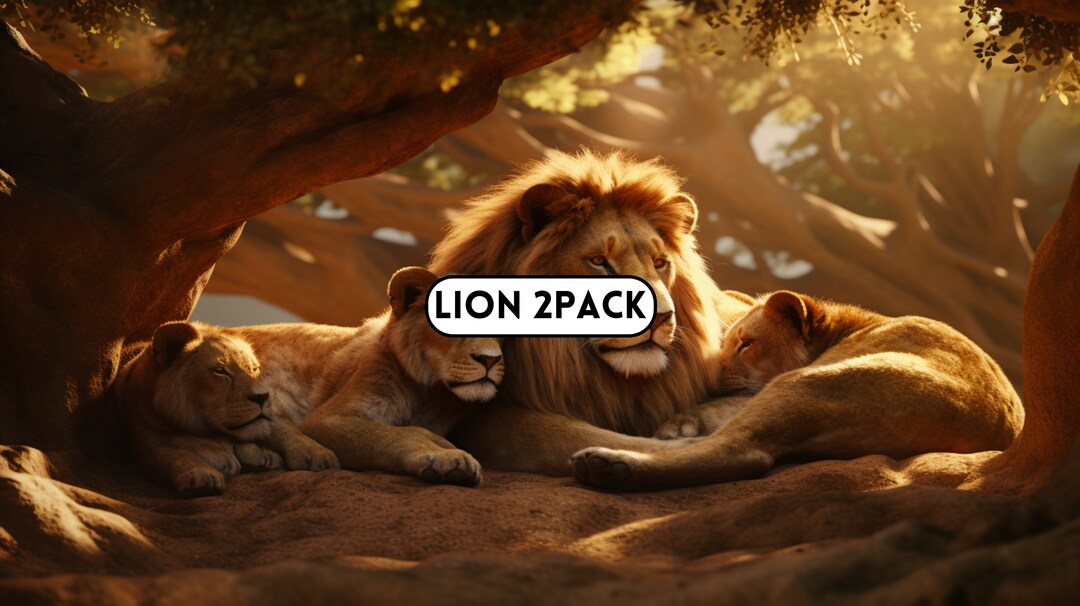 Lion Digital Backdrop, Digital Background, Lion Nature Background for ...