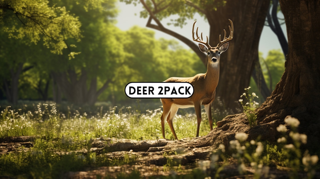 Dear in Nature Digital Backdrop, Digital Background, Nature Summer ...