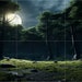 Werewolf Digital Backdrop, Digital Background, Forest Full Moon ...