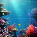 Underwater Digital Backdrop, Digital Background, Marine Life Background ...