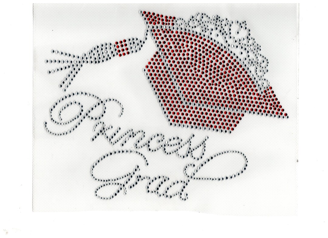 Graduation High School College Cap and Gown Graduate Rhinestone Iron on ...