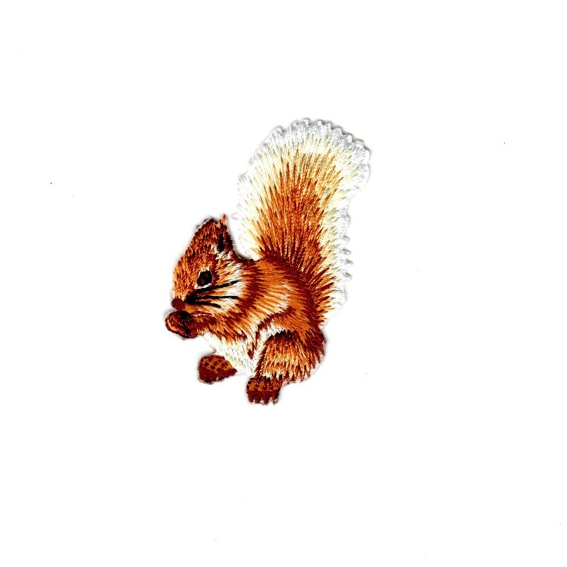 Squirrel Sew on Patch - Etsy