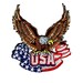 American Eagle Patch, USA Patch, Flag, Biker's Lifestyle, Iron-on Embroidered, Embroidered Patch ...