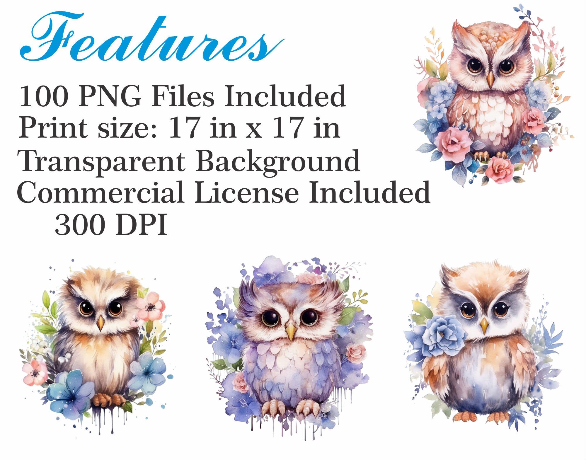 100 Baby Owl Clipart Watercolor Baby Owl Cute Owl Clipart - Etsy