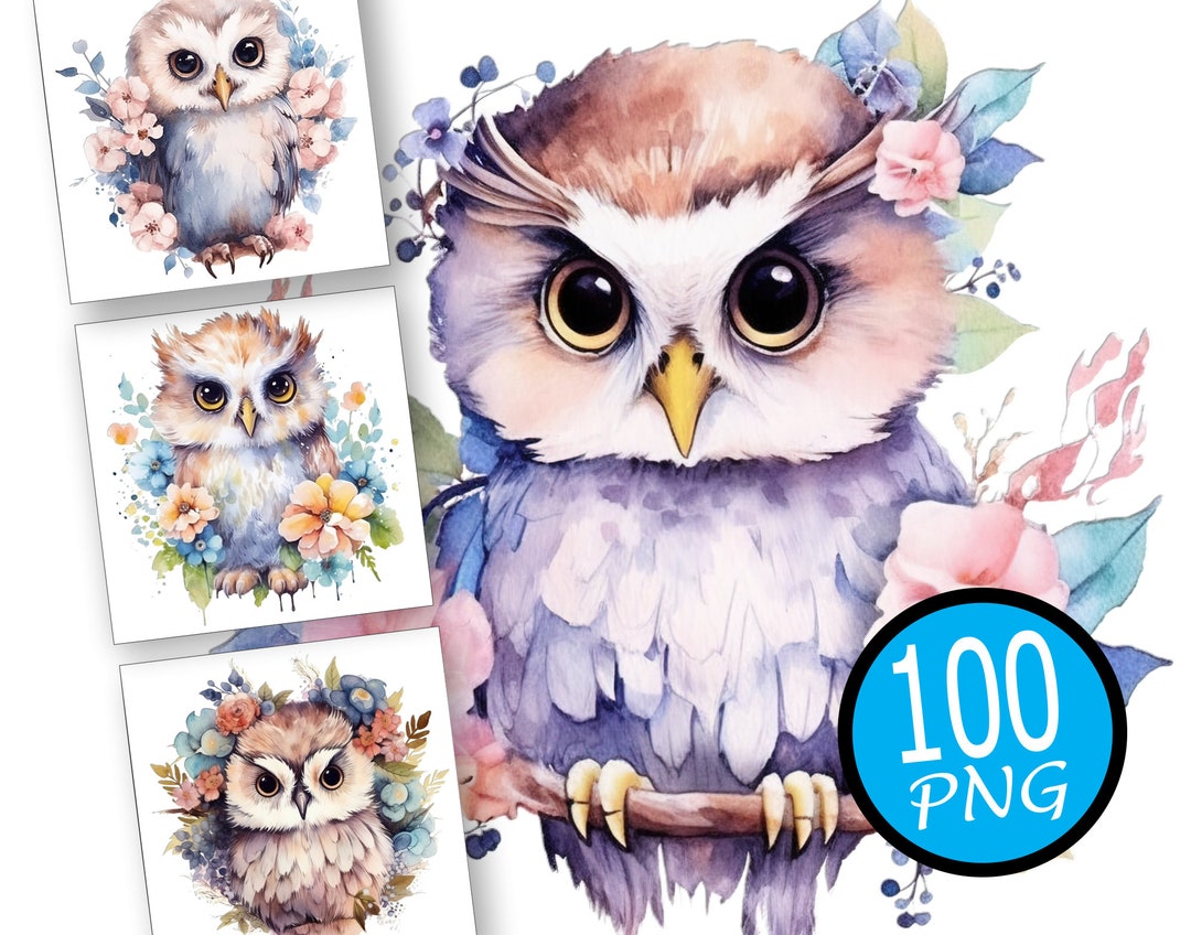 100 Baby Owl Clipart, Watercolor Baby Owl, Cute Owl Clipart, Owl ...